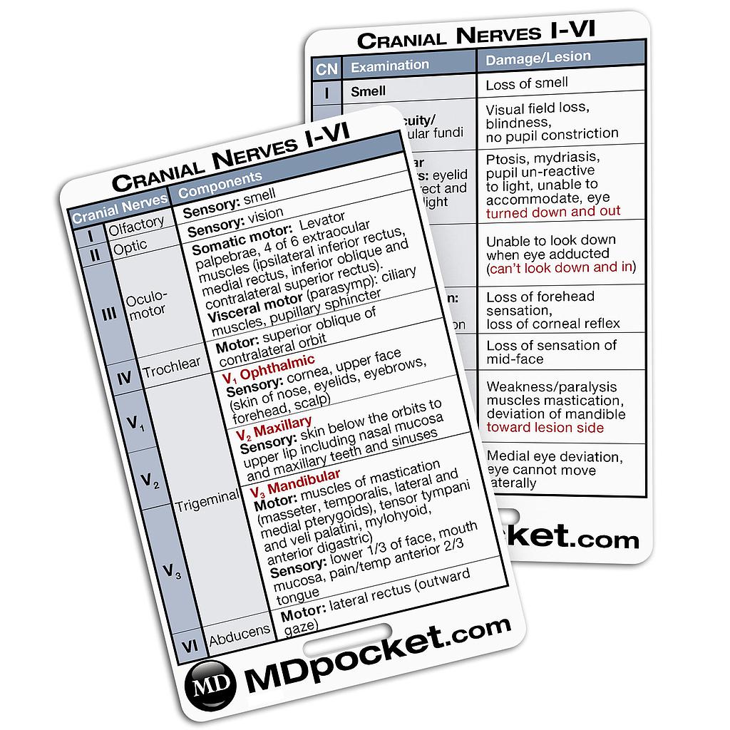 Cranial Nerves Cheat Sheet
